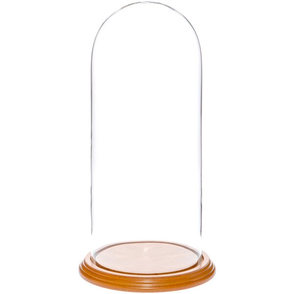 5.5" x 13" Glass Dome with Oak Veneer Base