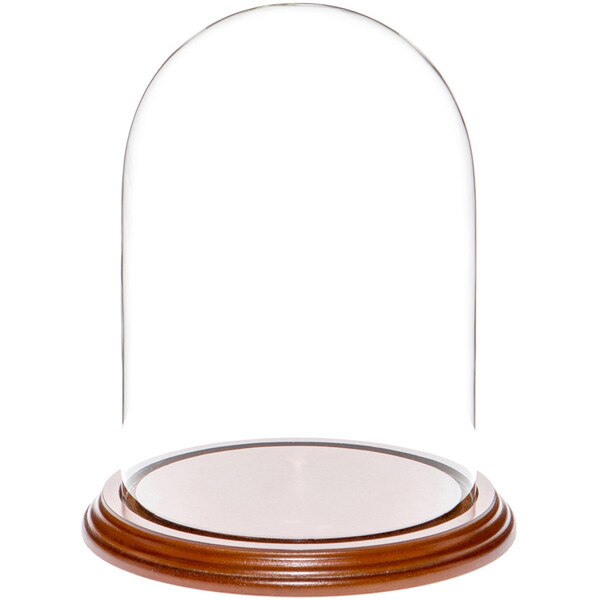 5.5" x 13" Glass Dome with Walnut Veneer Base