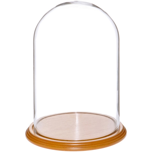 8" x 12" Glass Dome with Oak Veneer Base